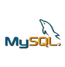 Best IT & Mobile Apps Development Company in Noida/Delhi India, Hire ...